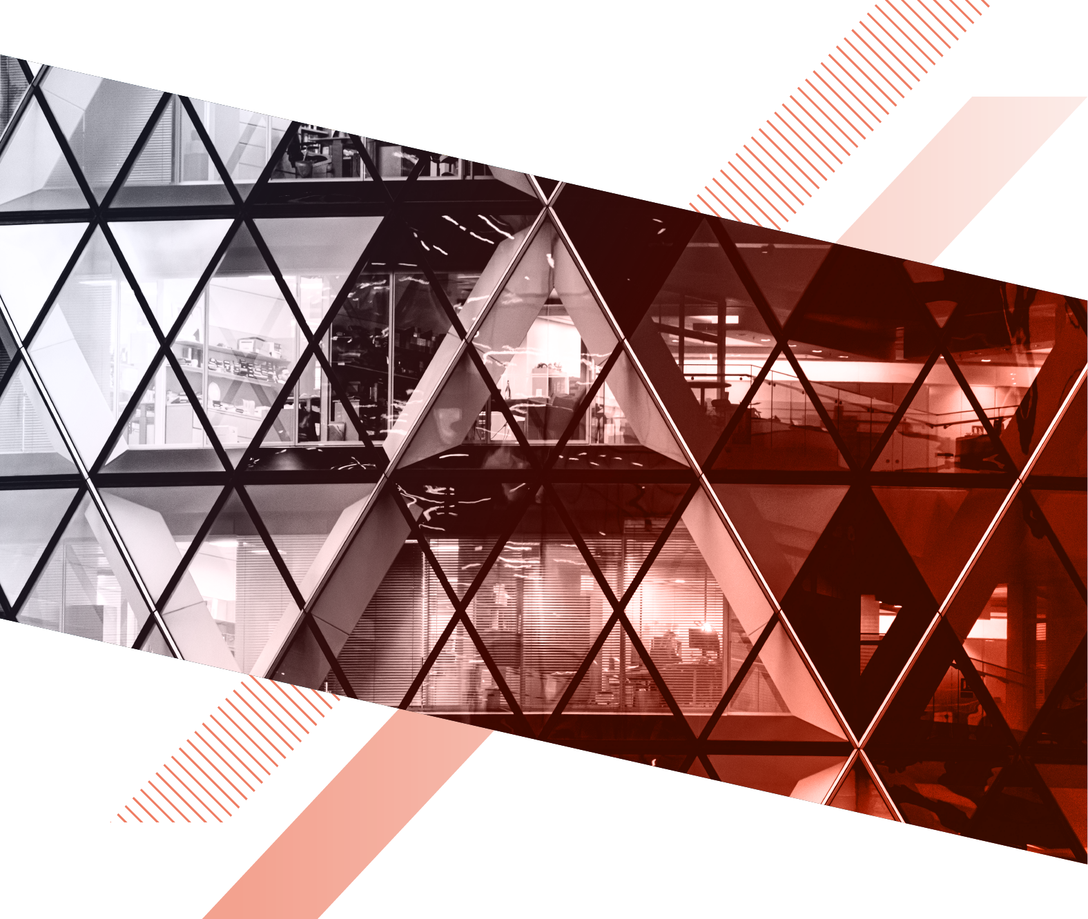 Threat Hunting on the Dark Web › Searchlight Cyber