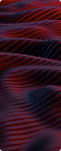 BidenCash › Searchlight Cyber